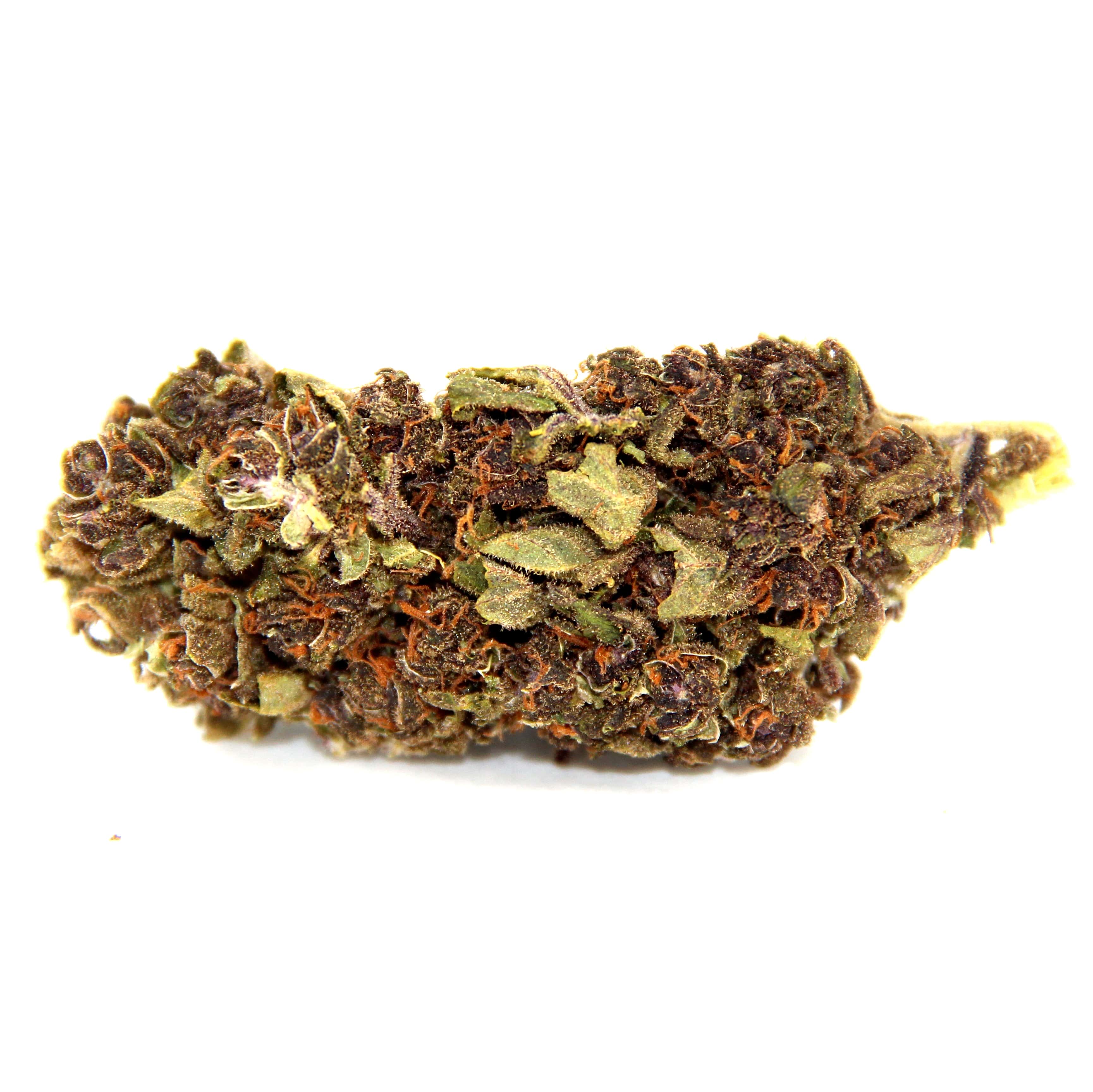 Purple Haze - Fleur CBD Greenhouse – Captain Kush